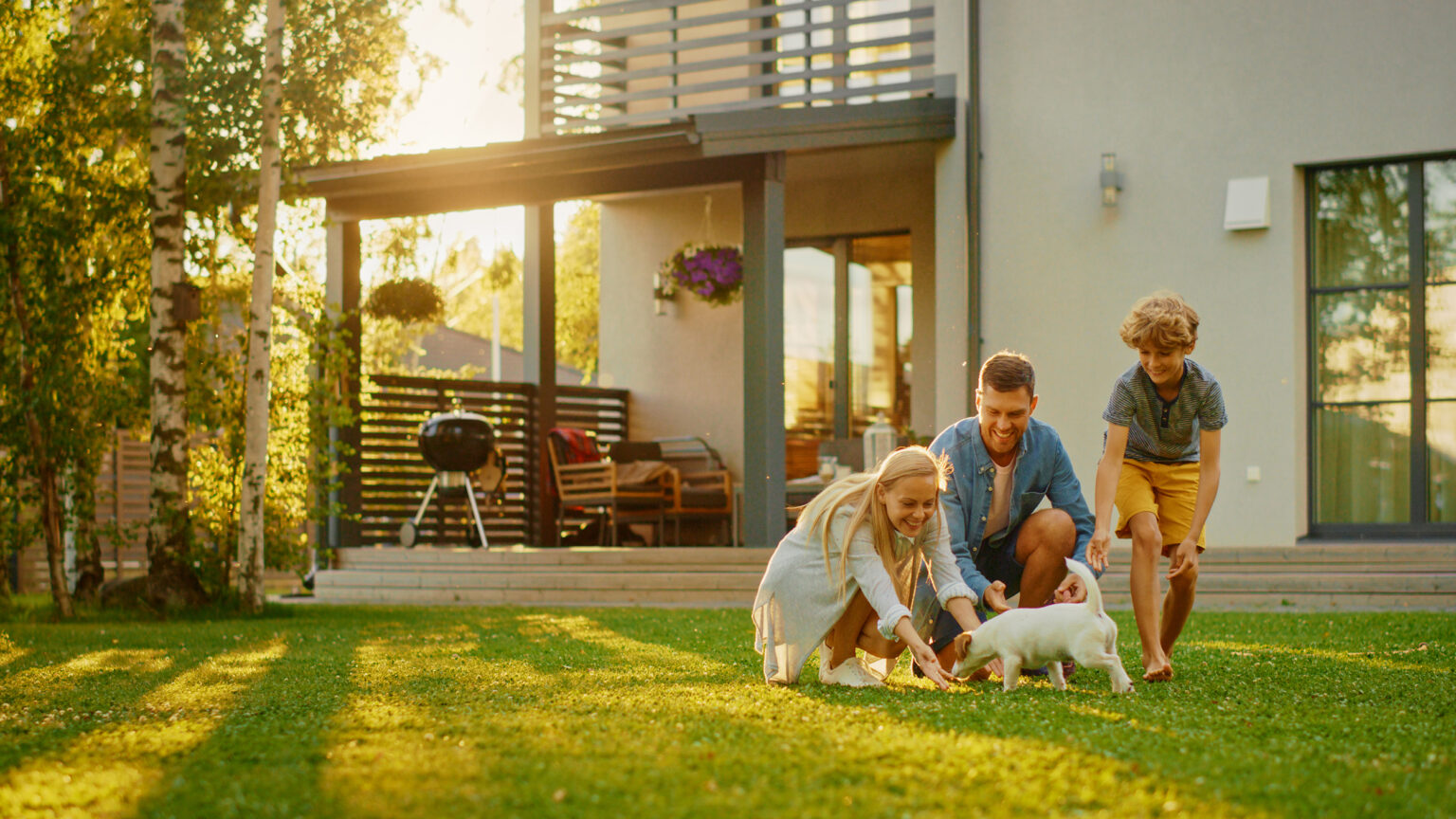Home - MayDay Pest Services